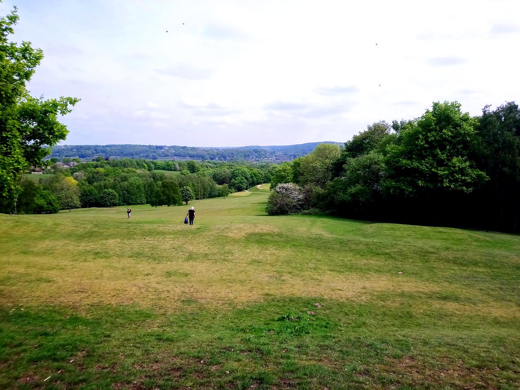 Latest urban rewilding project set to be UK’s largest - The Courier Online