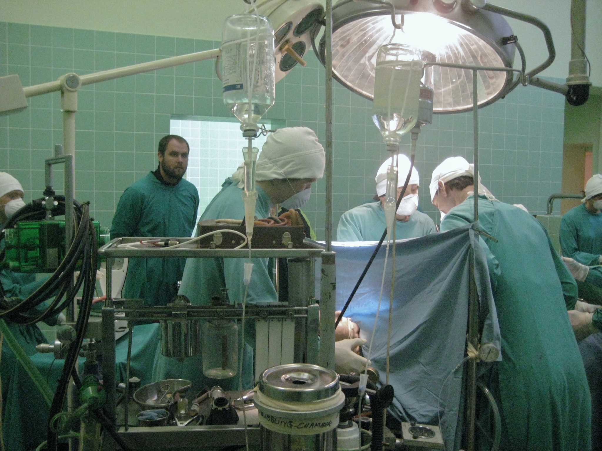 Two-headed Dog: The Experiments of Vladimir Demikhov - The Courier Online