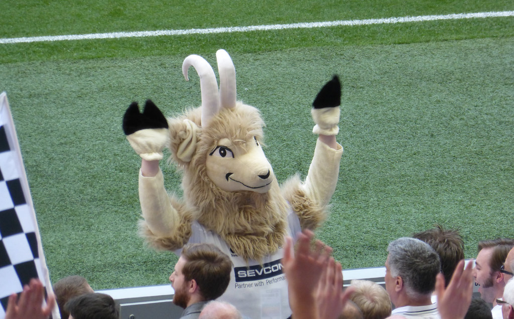 Can Gateshead FC reach the football league this season? - The Courier ...