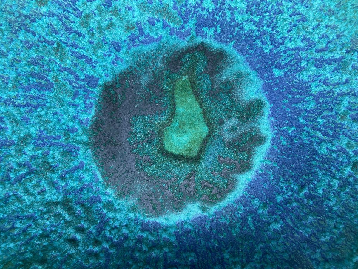 First-ever human embryos created from skin cells, scientists confirm ...