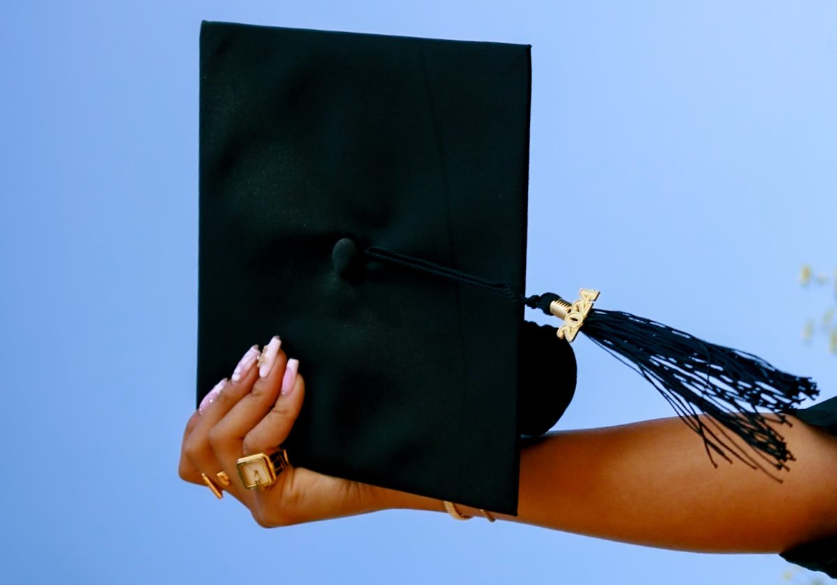 Mickey Mouse Degrees and the rejection of corporate lifestyle in the ...